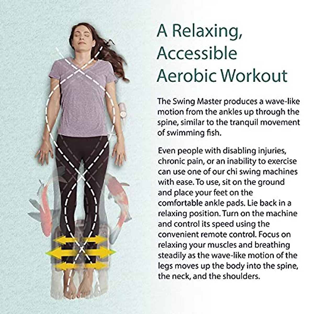 Daiwa Felicity Original Chi Swing Machine USJ-201 Passive Aerobic Exerciser Swing Master