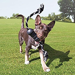 KONG - Extreme Dental with Rope - Durable Natural Rubber Dog Bone for Power Chewers, Black - for Medium Dogs