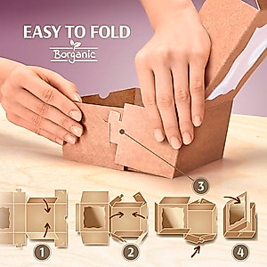 BORGANIC Cookie Boxes For Packaging - The Strongest 6x6x3 Cookie Boxes With Window [50 Pack] - Oil Resistant Cookie Boxes - Premium Bakery Boxes With Window - Cookie Boxes For Gift Giving