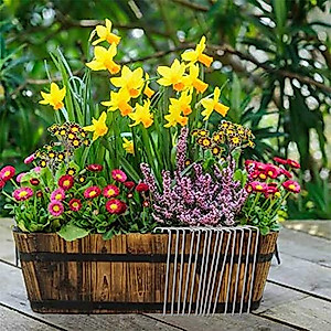 UPMCT 12 Inch Galvanized Garden Landscape Staples Stakes, 25 50 100 PCS Anti-Rust Garden Staples U-Shaped Landscape Pins for Secure Lawn Fabric (25, 12 Inch)