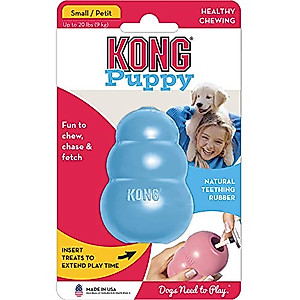 KONG - Puppy Toy Natural Teething Rubber - Fun to Chew, Chase and Fetch - Blue, for Medium Puppies
