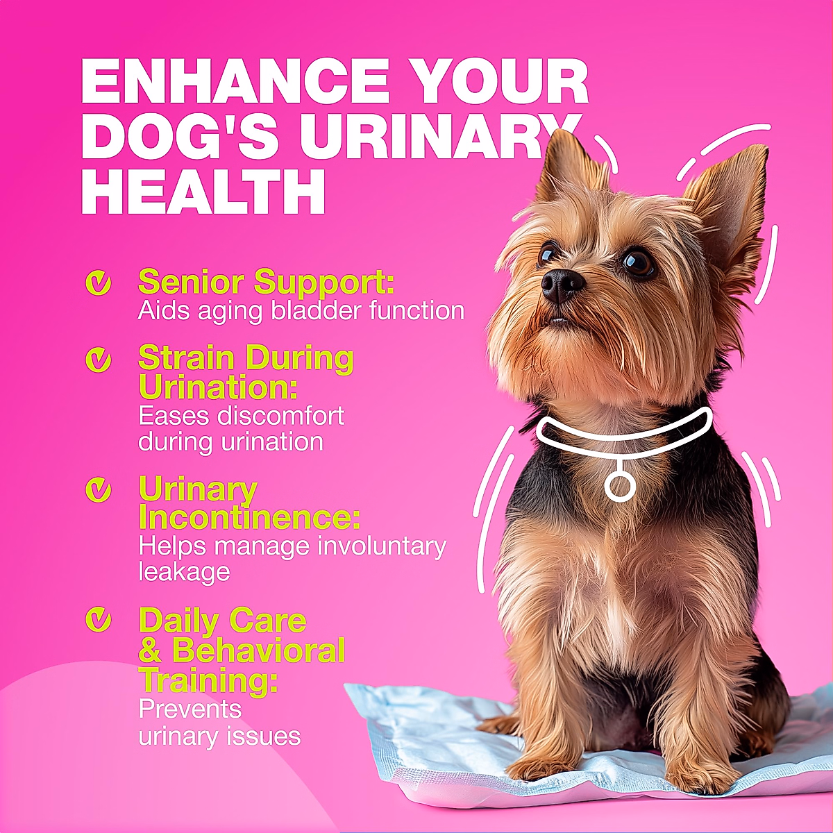 Dog UTI Treatment - Dog Cranberry Supplement for Urinary Tract, Bladder & Kidney Health, Incontinence Support - Bladder Control Cranberry Chews - Cranberry Supplement for Dog Incontinence