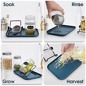 BARIKUEO 4PCS Stainless Steel Sprouting Lids,2 Stainless Steel Sprouting Stands,Drip Tray,Label sticker, 8 Pack Mason Sprouting Jar Kit (Not Include Mason Jar) for Regular and Wide Mouth Mason Jars