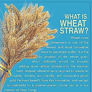 Wheat straw Dinnerware Set 40 Piece - Lightweight, Eco-Friendly, plastic dinnerware set, Microwave Dishwasher Safe Unbreakable Plates, Bowls, Cups, Camping, Kitchen, RV