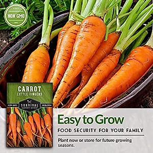 Survival Garden Seeds - Little Fingers Carrot Seed for Planting - Packet with Instructions to Plant and Grow Delicious Baby Carrots in Your Home Vegetable Garden - Non-GMO Heirloom Variety - 1 Pack