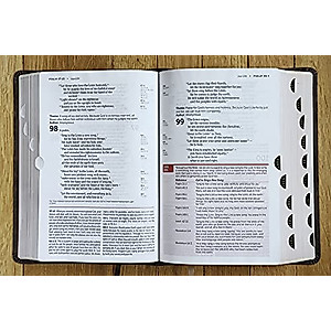 NIV, Life Application Study Bible, Third Edition, Large Print, Bonded Leather, Brown, Red Letter, Thumb Indexed