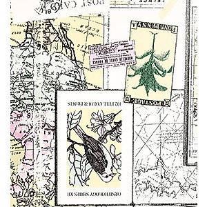 Self Adhesive Vinyl Vintage Butterfly Birds Map Contact Paper Shelf Liner Cabinets Dresser Drawer Liner Furniture Sticker Wall Paper 17.7X117 Inches