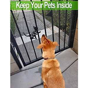 16In x 15Ft Plastic Chicken Wire Mesh Fencing, TOYPOPOR 500GSM Durable Heavy Duty Hexagonal Chicken Wire for Cat Dog Fencing, Garden Fence, Aquarium, Moss Pole, Aperture 0.4'', Rustproof, Easy to Cute