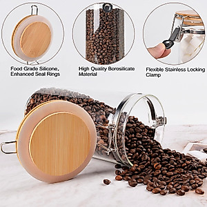 3Pcs Glass Coffee Canister with Shelf Printed Coffee Bar, Sugar Container, 3x53oz Glass Coffee Bean Storage Jars with Airtight Locking Clamp Lids Spoons, Coffee Containers Set Kitchen Food Storage Tea