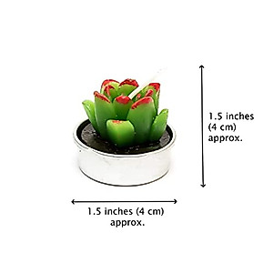 Phyther Cactus Tealight Candles, Unscented Decoration Tea Lights Candle, for Decor, Party Favors, Wedding, Baby, and Bridal Shower (12 Pieces)