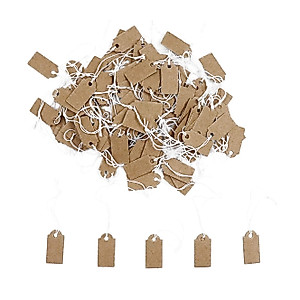 Sowaka 100 Pcs Display Tags with Hanging String Mini Writable Blank Label Display Tags for Jewelry Store Price Marking Ornament Pricing Product Clothing Hanging Tags (Small, Kraft)