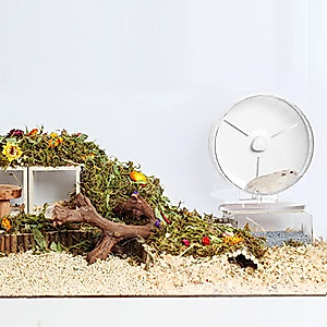 BUCATSTATE Hamster Exercise Wheel Super-Silent with Adjustable Base Cage Accessories Quiet Spinning Running Wheel for Dwarf Syrian Hamster Gerbils (6.7in, White)