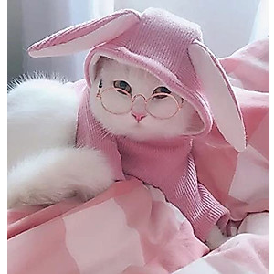 Funny Cat Sunglasses Dog Glasses Metal Retro Circular Glasses Puppy Pet Eyewear for Cosplay Costume Photos Props Pet Accessory Halloween Christmas