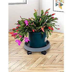 3 Pack Plant Caddie with Wheels and Water Storage Tray, 12.6" Rolling Plant Stand, 4-Wheeled Plant Roller, Lockable Casters, Heavy Duty Plant Caddy for Large Indoor and Outdoor Planters