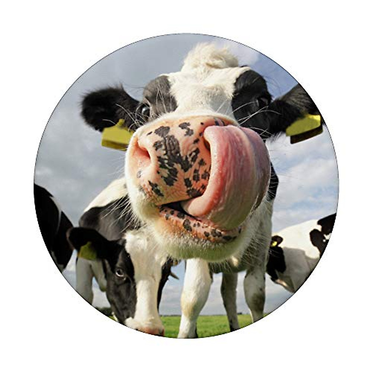 Cow Farm Animal PopSockets Swappable PopGrip