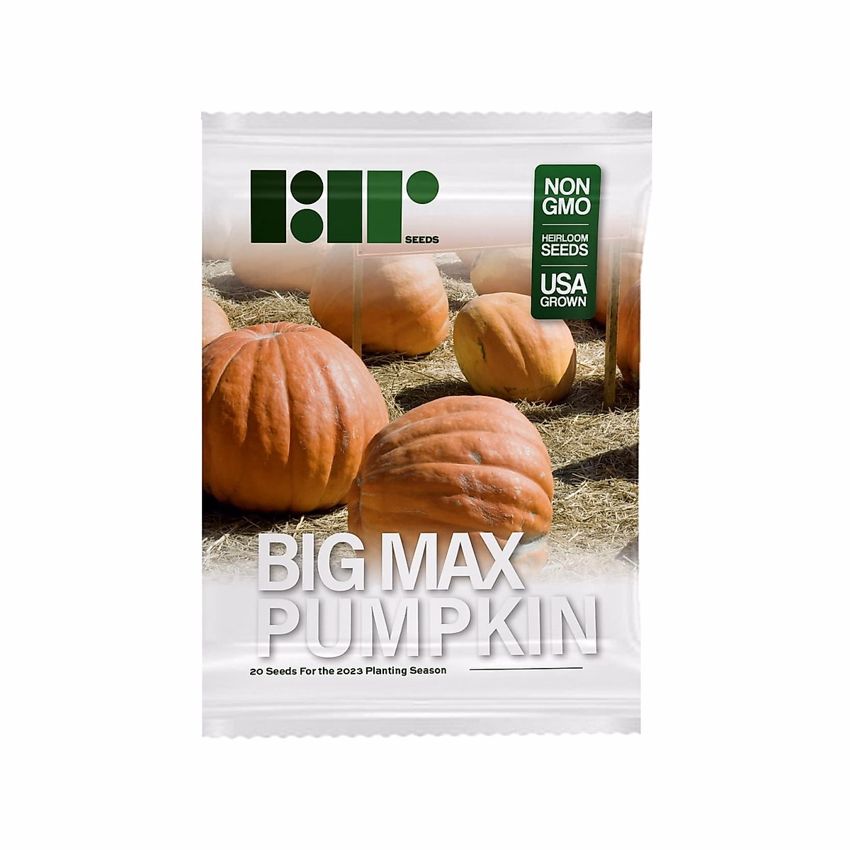 20 Big Max Pumpkin Seeds for Planting - Heirloom Non-GMO USA Grown Premium Vegetable Seeds for Planting - Grows Big Giant Pumpkins up to 100 lbs! Grown for Pies and Halloween Jack O Lanterns