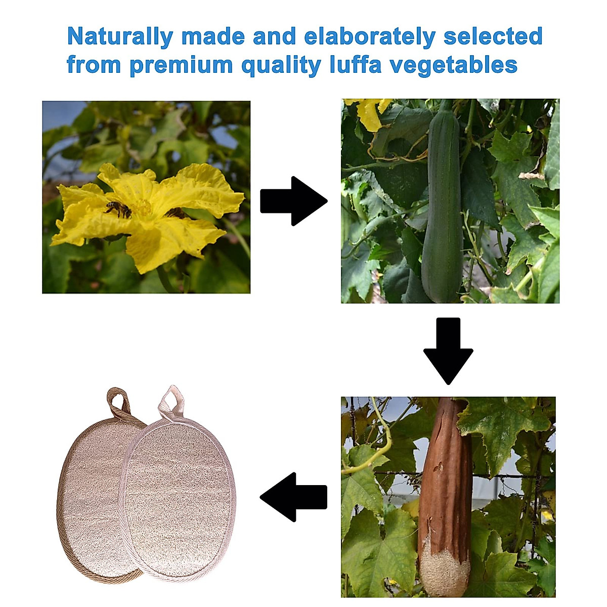 Exfoliating Body Scrubber Loofah Sponge (2 Pack), 100% Natural Lufa Bath Scrubber Body Scrubbers for Shower Scrub Loofa, Large Lufas for Men and Women Loufa Biodegradable Exfoliator Scrubber Luffa