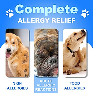 HEYISME Dog Allergy Relief Chews, Itch Relief and Probiotics for Dogs, Fish Oil Omega 3, Seasonal Allergies, Itchy Skin Relief, Anti Itch Treats, Immune Health Supplement (Chicken, 120 Chews)