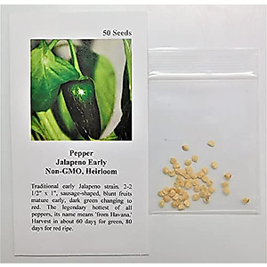 David's Garden Seeds Pepper Jalapeno Early FBA-5866 (Red) 25 Non-GMO, Heirloom Seeds