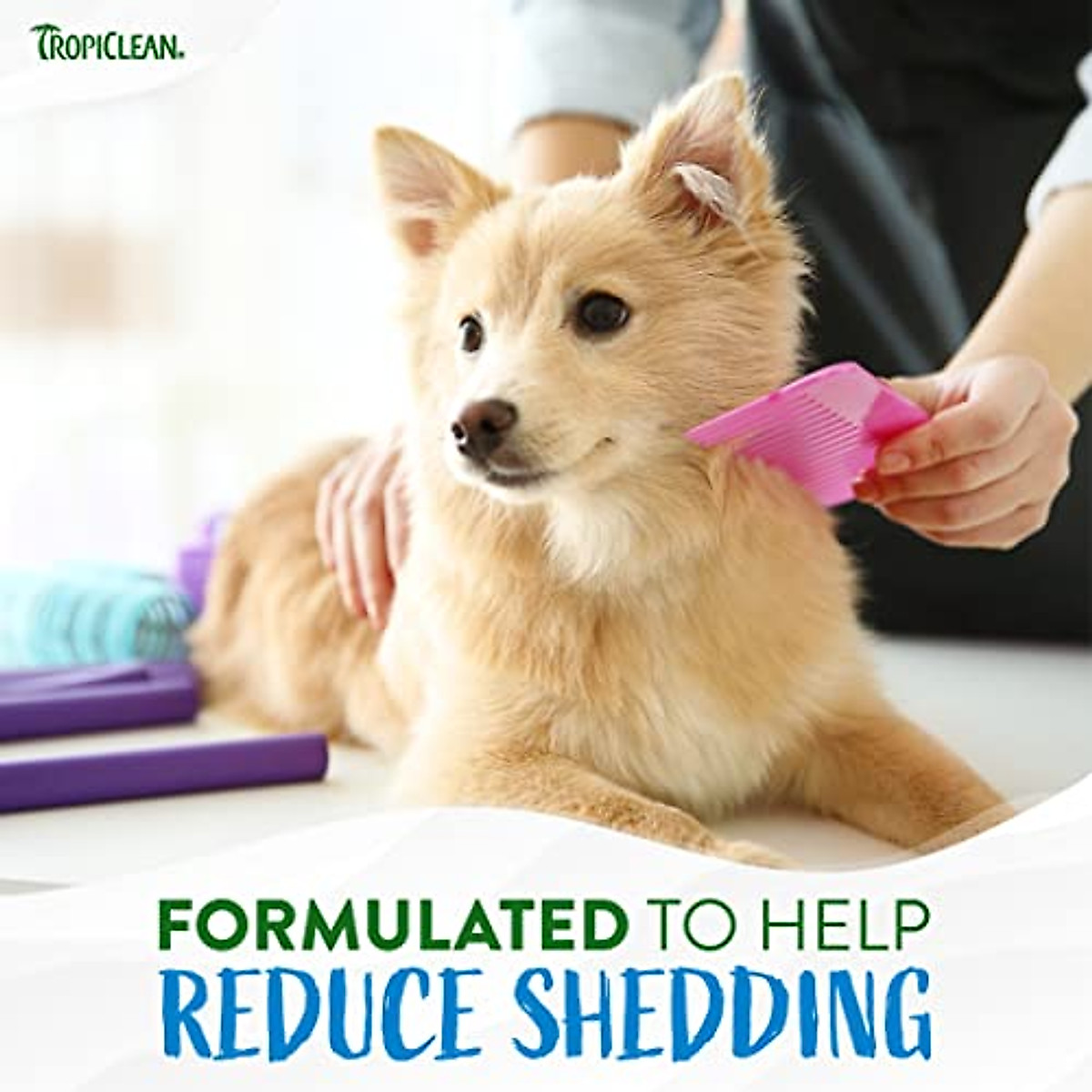 TropiClean Lime & Coconut Deshedding Dog Shampoo for Shedding Control | Natural Pet Shampoo Derived from Natural Ingredients | Cat Friendly | Made in The USA | 1 gal.