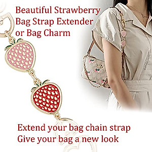 Bag Strap Extender Compatible with Coach Strawberry Collection Bags, Fashion Crossbody Purse Chain Strap Extender Extend Shoulder Strap Length, Stylish Strawberry Bag Charm (2 Red-Pink Strawberry)