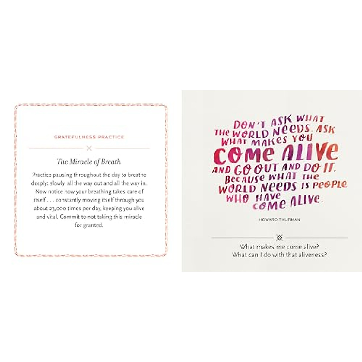 Everyday Gratitude: Inspiration for Living Life as a Gift