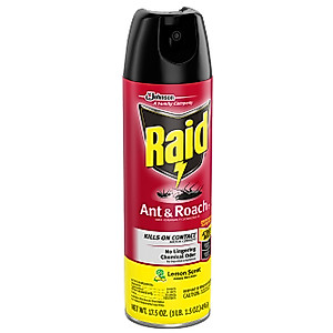 Raid Ant & Roach Spray Defense System, Lemon Scent, Attacks Bugs & Kills on Contact for up to 4 Weeks, No Lingering Chemical Odor, 17.5-Ounce (Pack of 5)