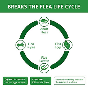 Amazon Basics Flea and Tick Topical Treatment for Cats (over 1.5 lbs), 6 Count (Previously Solimo)