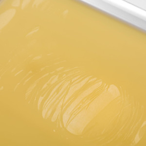 6Pack Premium Aluminum Dissection Pan with Wax, Disection Trays for Laboratory - Students - Science Experiments, 7" W 10" L