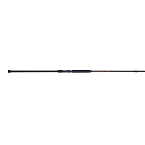 PENN 11’ Squadron III Surf Conventional Casting Rod, 2-Piece Graphite Composite Fishing Rod, Titanium/Red/Gold