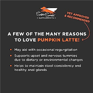 Diggin's Your Dog Super Snouts Pumpkin Latte Digestive Supplement for Dogs and Cats, 5 Ounce - Antibiotic Free, Maintains Healthy Gut, Promotes Stool Consistency
