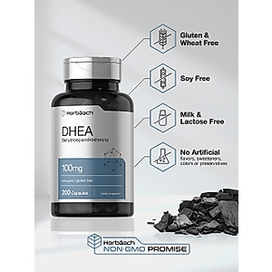 Horbäach DHEA 100mg | 200 Capsules | Non-GMO, Gluten Free Supplement