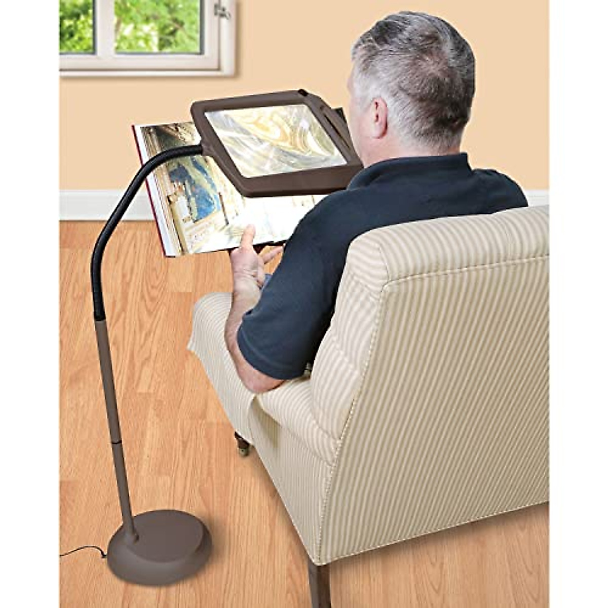 daylight24 402039-BRNZ Full Page 8 x 10 Inch LED Illuminated Floor, Bronze Magnifier Lamp