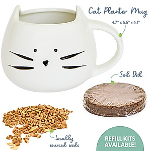 The Cat Ladies Organic Cat Grass for Indoor Cats - Growing Kit with Organic Seed Mix, Soil and White Cat Planter. Natural Hairball Control and Digestion Remedy, Cat Gifts