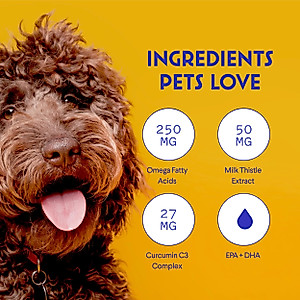 Wonder Paws Milk Thistle, Liver Support for Dogs, Supports Kidney Function for Pets, Detox, Hepatic Support, with Wild Alaskan Salmon Oil & Curcumin, Omega 3 EPA & DHA (4 Oz)