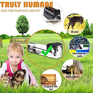 Humane Mouse Traps, 12 inches Enlarged No Kill Rat Trap, Live Traps for Chipmunks, Reusable Catch and Release Mice Traps, Pet and Children Friendly Mouse Trap That Work (2 Pack)