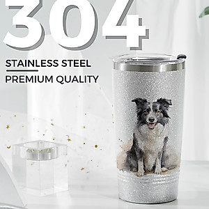 Onebttl Border Collie Gifts for Women/Men, Unique 20oz Border Collie Glitter Tumbler with Lid and Straw, Border Collie Gifts for Birthday, Christmas