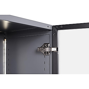 Holaki Display Cabinet with Glass Doors and Lights, 63" Tall Bookcase,5-Tier Storage Shelves, Single Door Metal Storage Cabinet,Trophy Case Display Cabinet for Collectibles,Display Case Cabinet,Grey