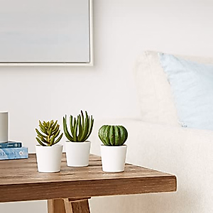 Amazon Basics Artificial Mini Succulent Fake Indoor Plants with Plastic Planter Pots, 3 Pack