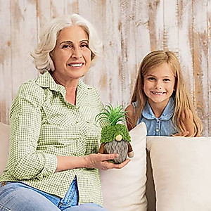 Succulent Gnomes Spring Green Plants Gnomes Swedish Plush Tiered Tray Decoration Tomte Doll Decor Cacti Nordic Dwarf Spring Summer Home Stuffed Gnomes Collection Garden Gift for Her Him Plant Lover