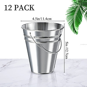 Sadnyy 12 Pack Metal Buckets with Handle, Galvanized Bucket 4.5 x 5 Inch Basket Bucket for Kids, Kids Party Supplies, Crafts for Christmas Halloween Christmas Candy Bars Vase Crafts(Silver)