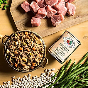 Fromm Four-Star Nutritionals Shredded Pork in Gravy Entrée Dog Food - Premium Wet Dog Food - Pork Recipe - Case of (12) 12 oz Cans