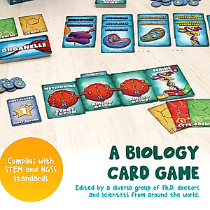Genius Games Peptide: A Protein Building Game | A Strategy Card Game with Accurate Science for Gamers and Teachers | Teaches Amino Acids, mRNA, Organelles