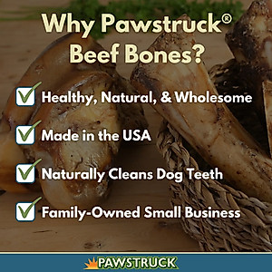 Pawstruck Natural 8-9” Meaty Bones for Dogs – Premium Single Ingredient Beef Femur Healthy Chew Made in USA – 1 Count