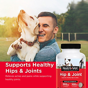 Nutri-Vet Hip & Joint Chewable Dog Supplements - Formulated with Glucosamine & Chondroitin for Dogs - 180 Count