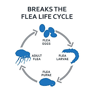 Sentry Fiproguard for Dogs, Flea and Tick Prevention for Dogs (5-22 Pounds), Includes 3 Month Supply of Topical Flea Treatments