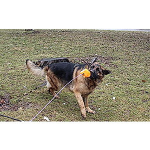 Jalousie Collapsible Dog Flirt Pole with Three Squeaky Toys Plush Toys Dog Teaser Wand Chase it Dog Toy with Refills (Dog Flirt Pole w/ Three Toys) - Upgraded Rope