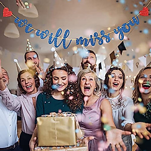 Dalaber We Will Miss You Banner for Retirement,Farewell Party,Going Away Party Decorations - Goodbye Themed Party Decoration Supplies - Blue