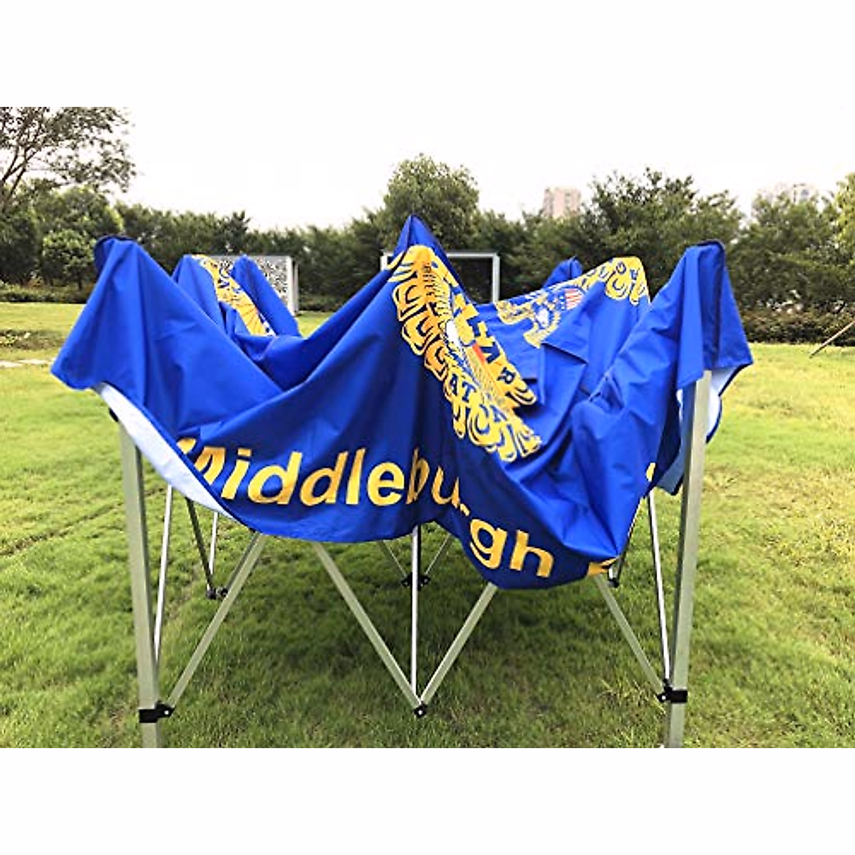 NaBai Canopy Pop Up Tent for Tradeshow 10 x 10 feet, Advertising Gazebos with Your Logo (10x10 top Canopy+one Full Wall+13kgs Aluminum Alloy Frame)