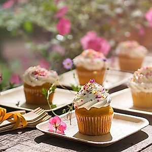 Raj Eco Compostable Palm Leaf Plates Like Bamboo Plates Disposable - 6 Inch Square 50 Party Plates, Natural Wooden, Eco-Friendly, Fancy Biodegradable & Disposable Dessert Appetizer Plates